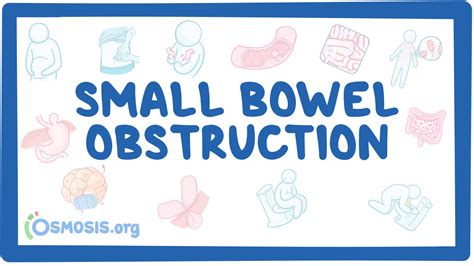 Small Bowel Obstruction Video And Meaning Osmosis