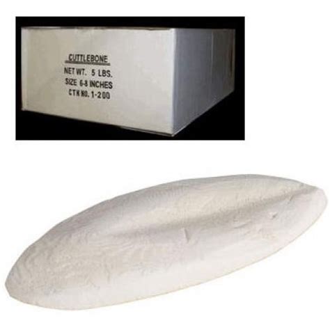 Bulk Cuttlebone For Birds 5 Lbs Livedrive
