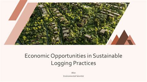 Economic Opportunities In Sustainable Logging Practices Ppt