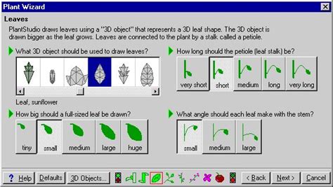 Algorithmic Botany Sfpc Session 1 Arena