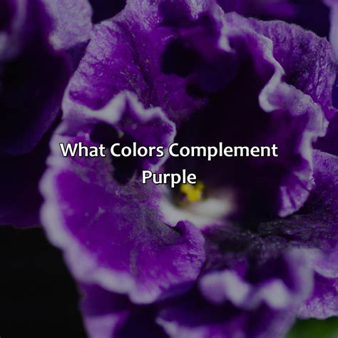 What Goes With The Color Purple