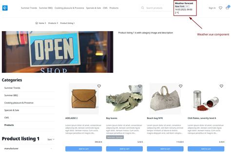 Create A Vuejs Composable And Call Any Api Within Shopware Frontends
