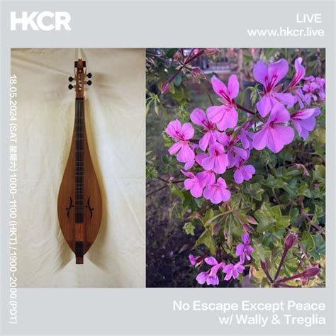 stream no escape except peace w wally and treglia 18 05 2024 by hkcr