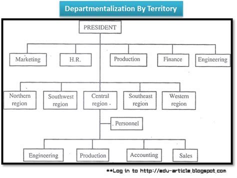Advantages And Disadvantages Of Functional Departmentalization