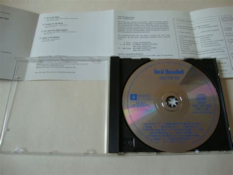 David Hasselhoff Crazy For You 52472709