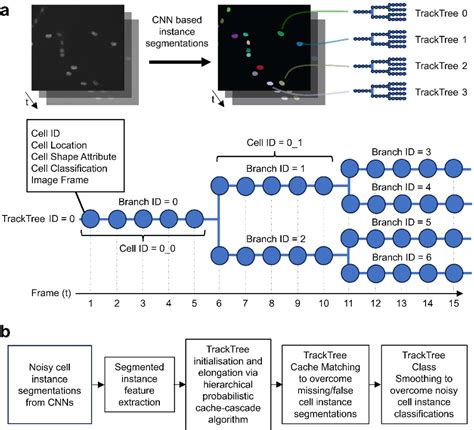 Figure 1 From Sc Track A Robust Cell Tracking Algorithm For Generating