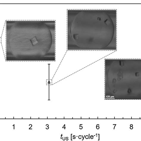 Crystal Size Including Pictures Of The Lysozyme Crystals Confined In