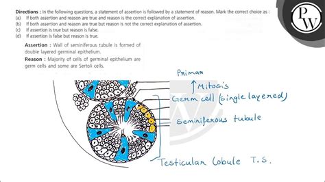 Directions In The Following Questions A Statement Of Assertion Is