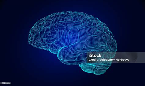 Vetores De Vetor De Cérebro De Wireframe E Mais Imagens De Modelo Wire Frame Modelo Wire Frame