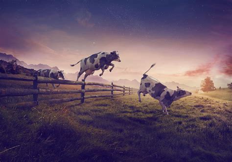 Client Side Encryption Bypass