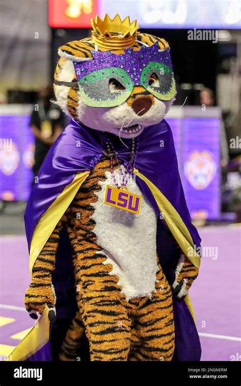 Baton Rouge La Usa 17th Feb 2023 Lsus Mascot Mike The Tiger Walks