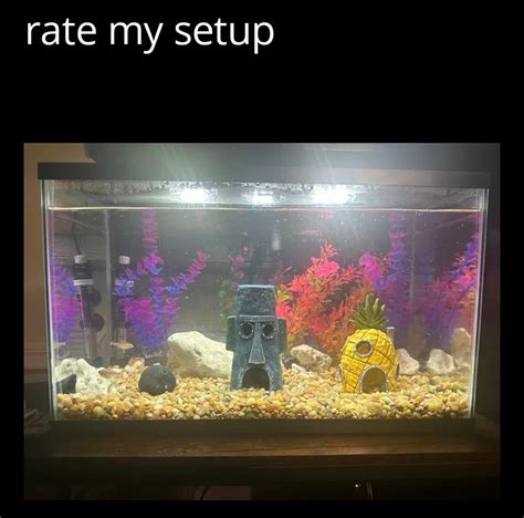 The Latest Memes Memedroid