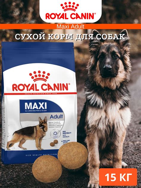 Сухой Корм Для Собак Роял Канин 15 Кг купить на OZON по низкой цене