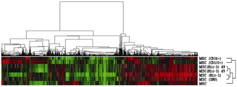 two way hierarchical clustering of a set of 4 666 clones expressed in