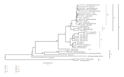 Maximum Clade Credibility Phylogenetic Tree Of Genotype Ii Asfv Genome