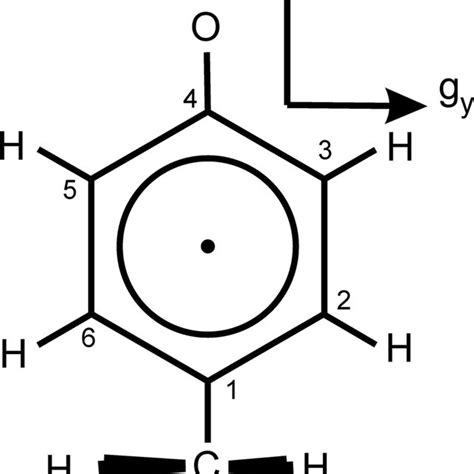 Structure Of The Tyrosyl Radical The Numbering Of The Carbon Atoms And