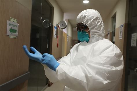 Influenza Aviar Las Personas Pueden Contraer El Virus Por Contacto Con