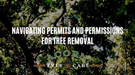 How To Remove A Tree Legally A Guide To Permits Permissions