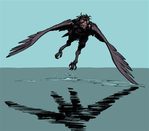 Bbooru Avian Avian Feet Bird Black Body Black Feathers Claws Corvid