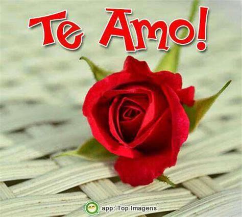 Te Amo Top Imagem 8751