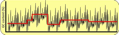 Eran Elhaik Softwares