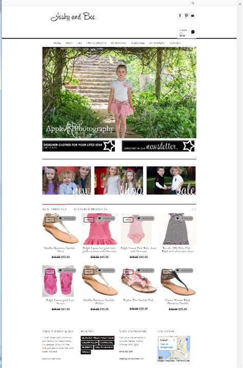 Wordpress Website Joshy And Bee Future It Australia Website Design