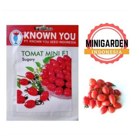 Jual Tomat Cherry Sugary Kemasan Kecil 50 Biji Benih Bibit Tomat Mini Merah Kota Semarang