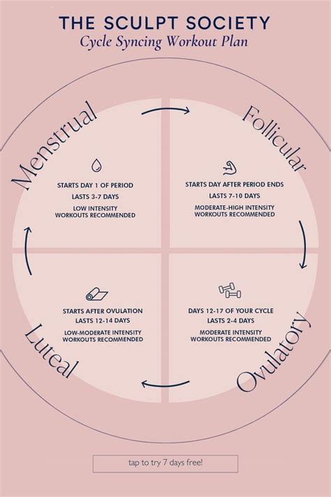 Finally Cycle Syncing Workouts Menstrual Cycle Tracker Sync Low