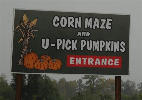 A List Of All The Pumpkin Patch Farms In The Seattle K