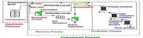 Flow Chart Of Bio Processing Download Scientific Diagram