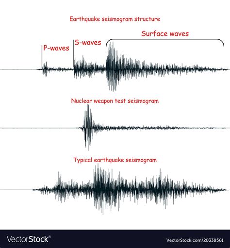 Seismogram Set Royalty Free Vector Image Vectorstock