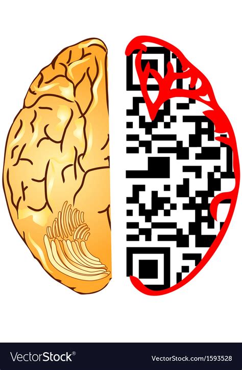 Brain And Qr Code Royalty Free Vector Image VectorStock
