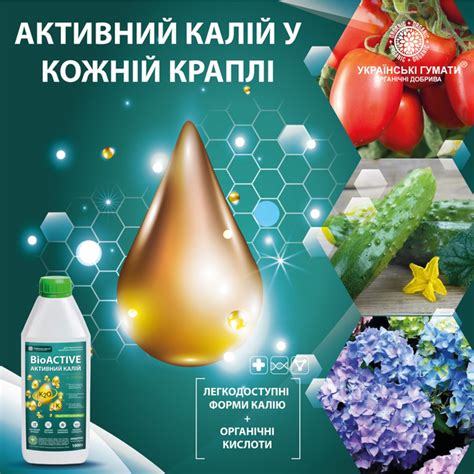 Калийное удобрение Українські гумати АКТИВНЫЙ КАЛИЙ для активного ...