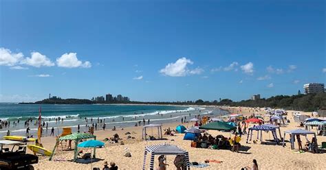 The Wild Reed Mooloolaba