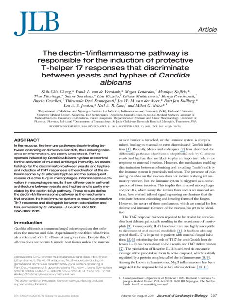 Pdf The Dectin 1inflammasome Pathway Is Responsible For The