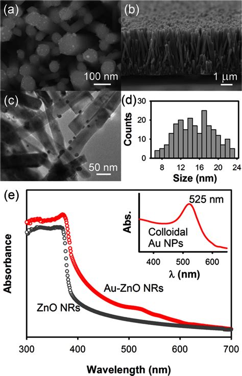 Importance Of Plasmonic Heating On Visible Light Driven Photocatalysis Of Gold Nanoparticle