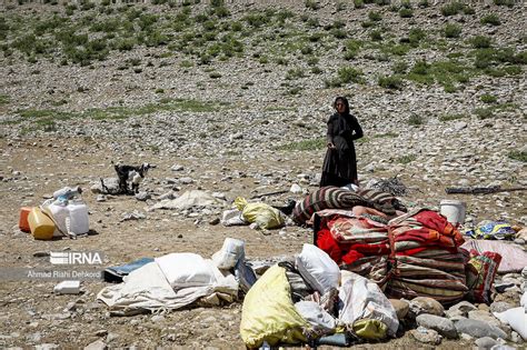 Irna English Spring Migration Of Iranian Nomads