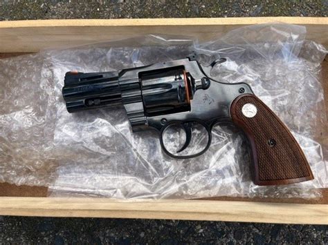 New Black Pythons On The Way Page 3 Colt Forum