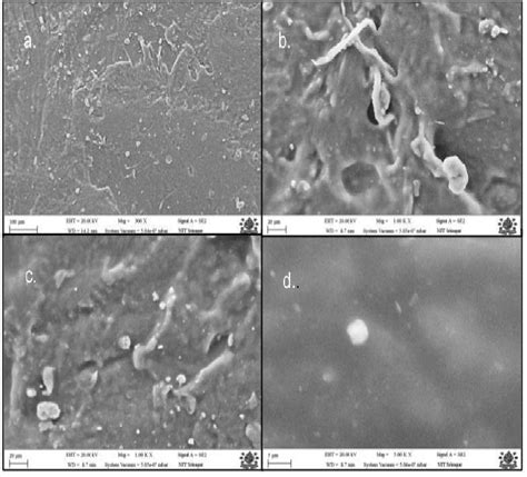 Figure 15 From Preparation And Characterization Of Flexible Phase