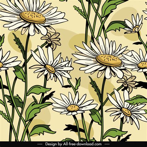 Daisy Pattern Template Classical Handdrawn Design Vectors Images