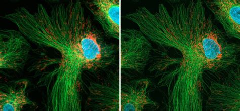 The Point Spread Function Useful Tips To Improve Your Images