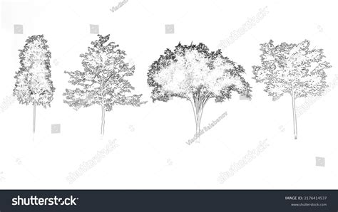 Trees Side View Hq Realistic Set3 Stock Illustration 2176414537