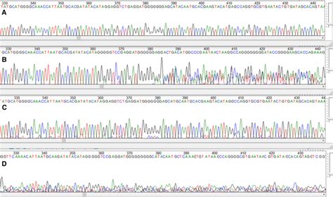 Chromatograms Of The D Loop A Urine Sample From A Seal In Download Scientific Diagram
