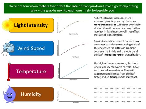 Structures And Functions In Living Organisms A Complete Set Of