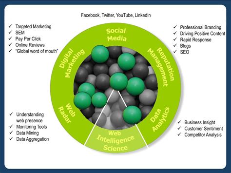 Ppt Source Insight Ecosystems Llc The Customer Ecosystem Powerpoint Presentation Id 2384368