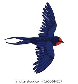 Swallow Flight Isolated On White Background Stock Vector Royalty Free 1658644237 Shutterstock