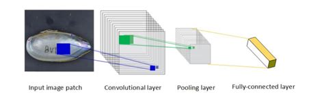 Convolutional Neural Network Architecture Download Scientific Diagram