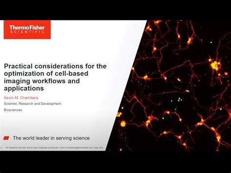 Free Video Practical Considerations For The Optimization Of Cell Based
