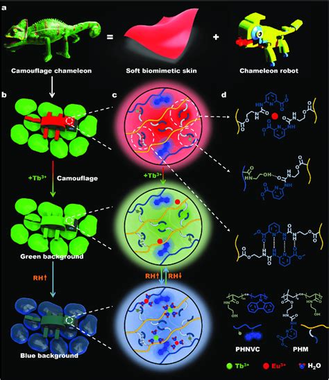 Scheme 1 Schematic Illustration Of The Soft Supramolecular Fluorescent Download Scientific