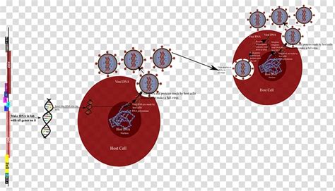 Hiv Virus Clipart 10 Free Cliparts Download Images On Clipground 2026